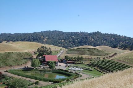 Taber Ranch Vineyards & Event Center in Capay, California