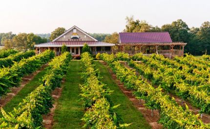 WoodMill Winery in Vale, North Carolina
